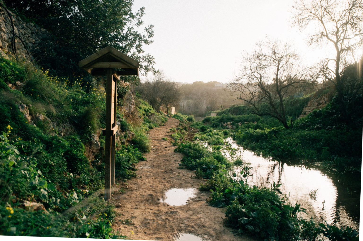 Chadwick Lakes – Chadwick lakes trail regeneration